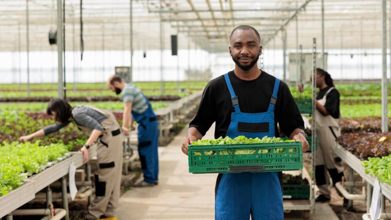 Agro-industrie Sénégal : Stratégies et Investissements Clés 2025-2030