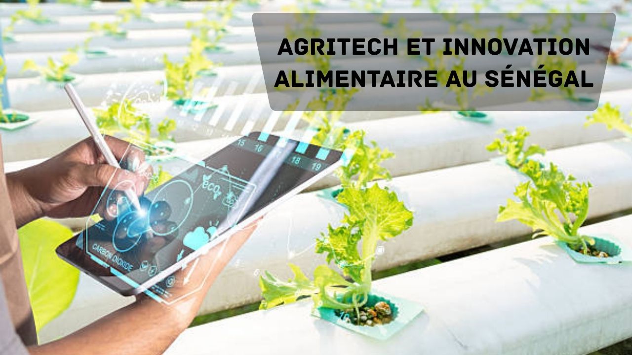 AgriTech et Innovation Alimentaire au Sénégal : 16 Tendances 2026